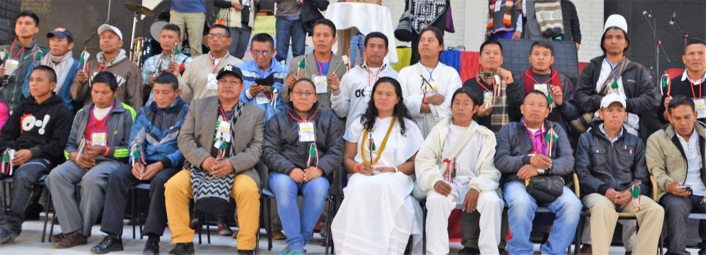 Accompanying the Pro-Indigenous Consortium of Colombia - The Wájaro ...